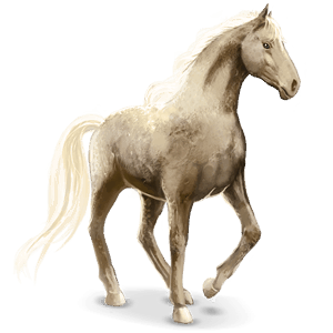 Las habilidades especiales de caballos del sistema solar - Caballow